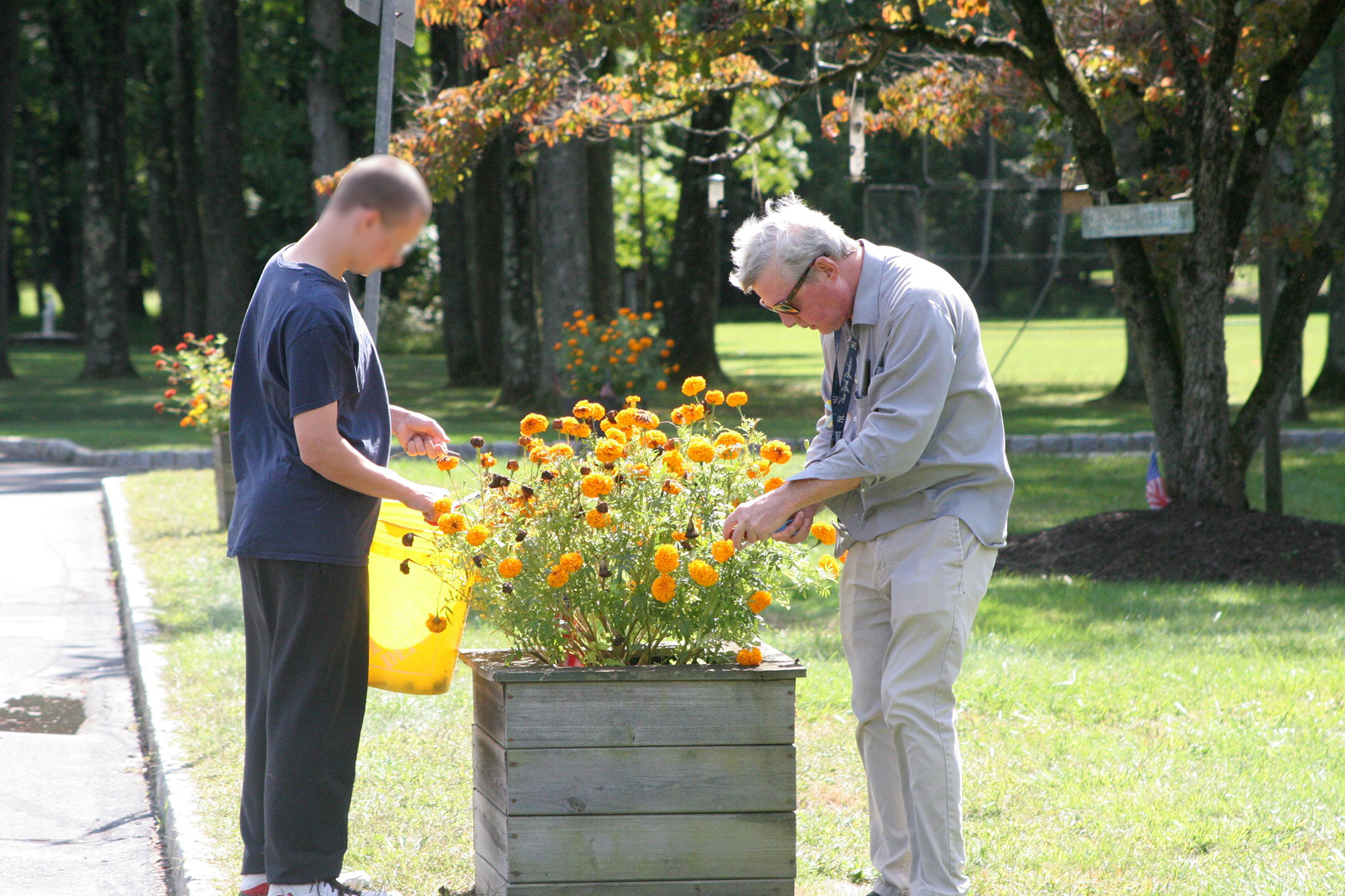 gardening – Chancellor Academy